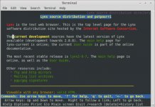 7 Best Lightweight Linux Browsers for Ubuntu Users. - MashTips
