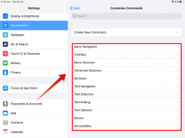 iPadOS : Here's How to Control iPad with your Voice