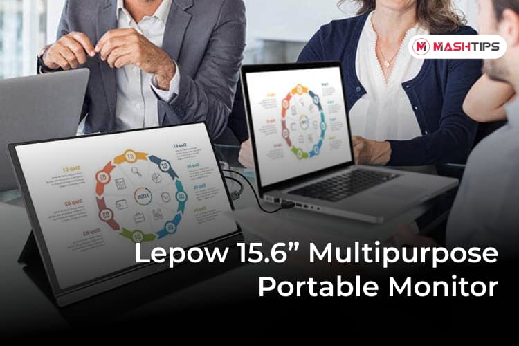 Lepow Multipurpose Portable Monitor for Work From Home, Gaming and More ...