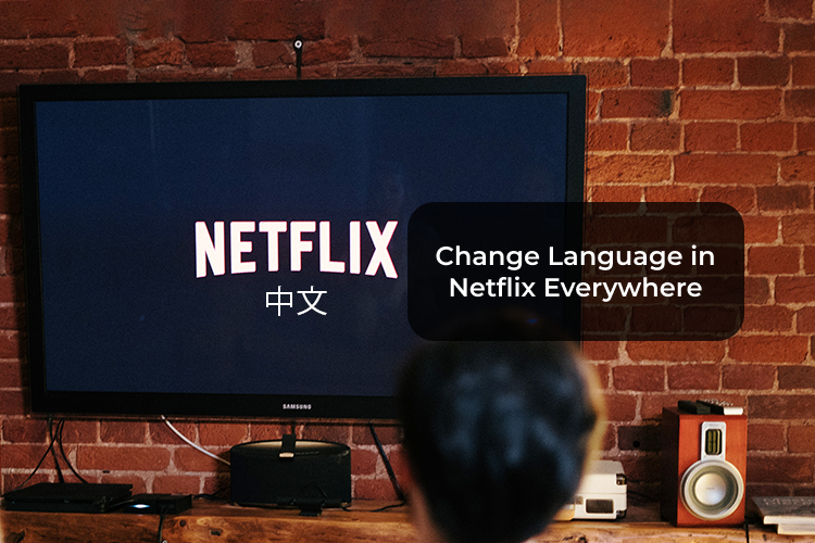 How to Change Language on Netflix Everywhere - MashTips