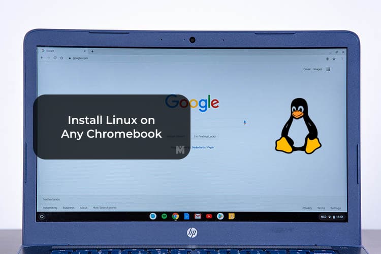 How To Install Linux And Run Linux Apps On Chromebook MashTips